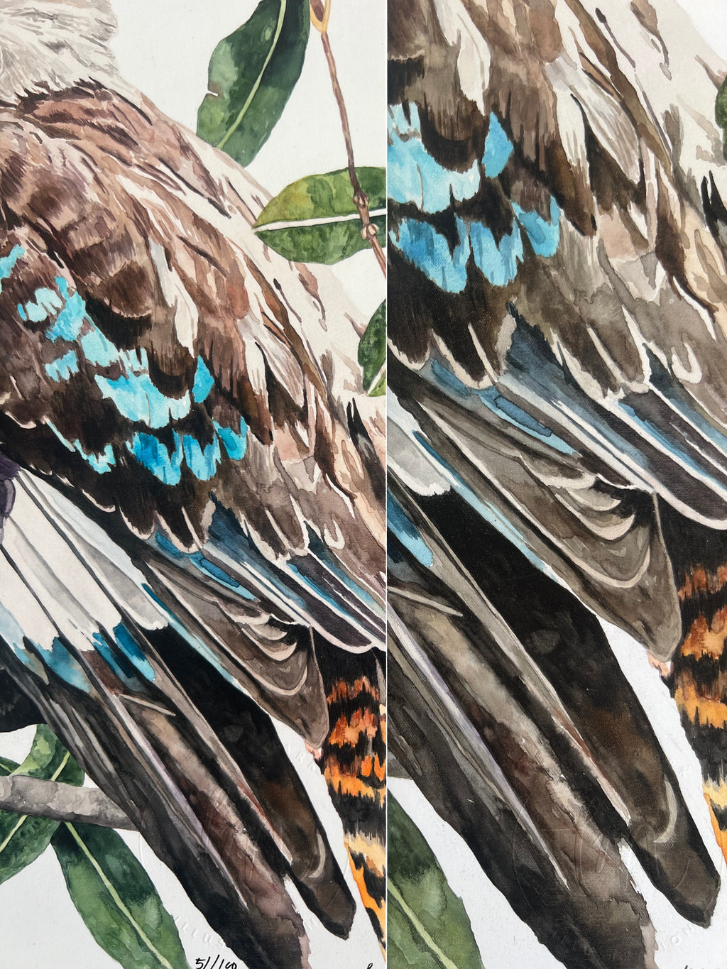 The Bushman's Clock - Perfectly Imperfect – Leah's Mark