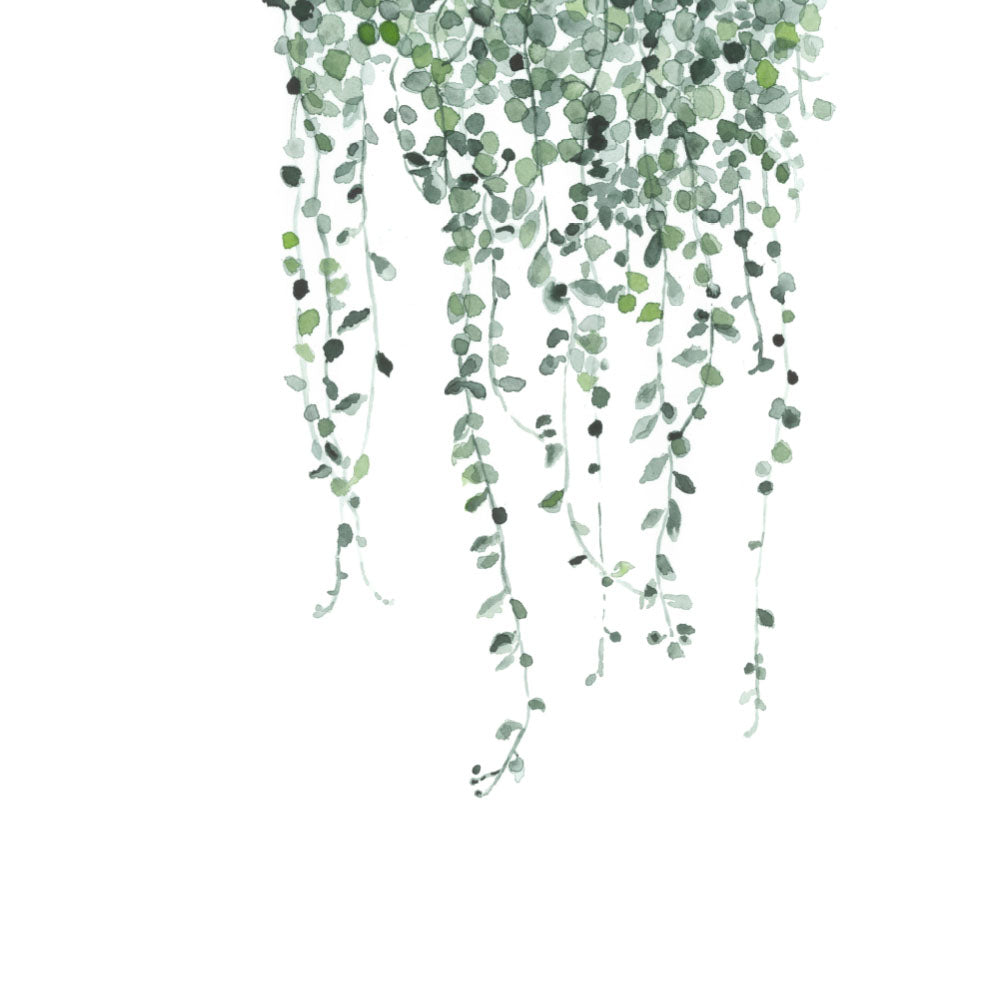 Hanging Pearls: Watercolour Wall Print – Leah's Mark