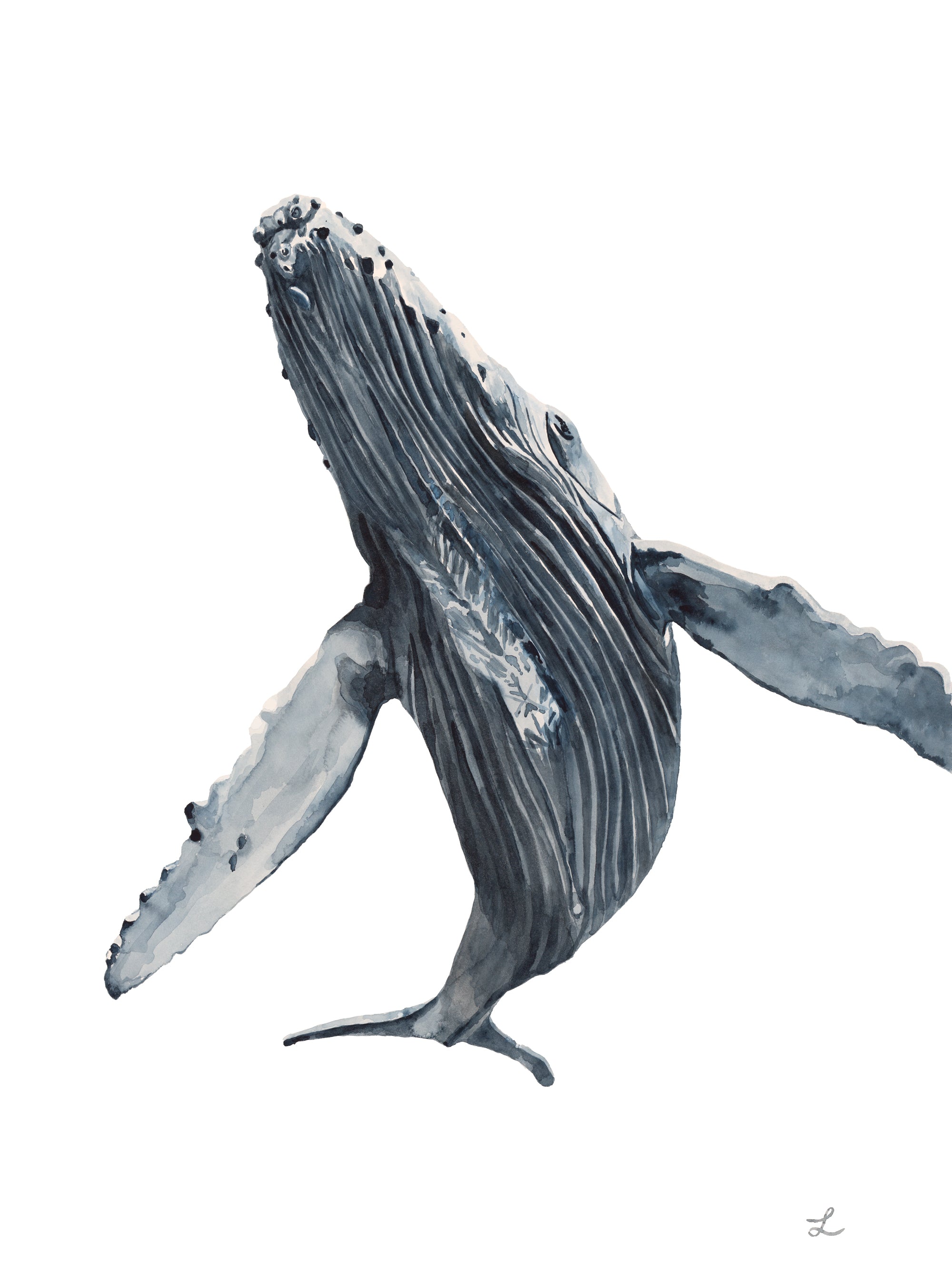The Dance - FINGAL the Hump Back Whale Original Watercolour on Paper